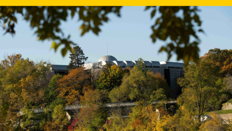 Leadership | College of Law - The University of Iowa