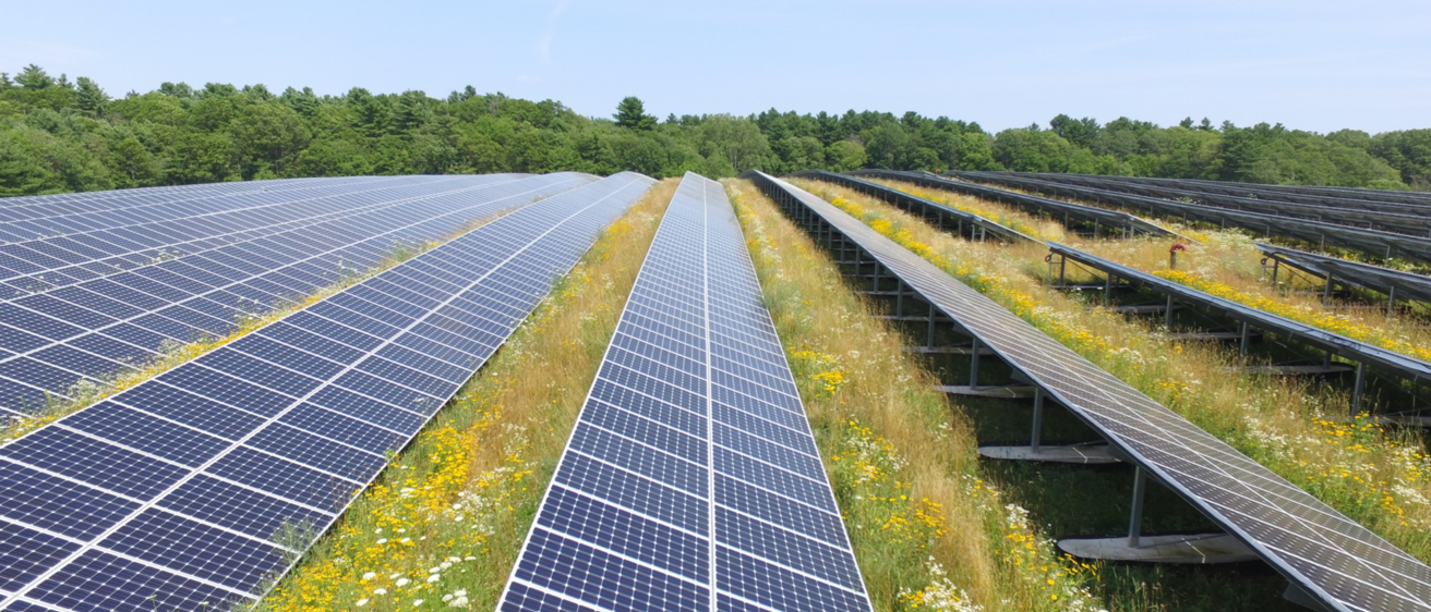 The Hubbell Environmental Law Initiative launches with first public ...